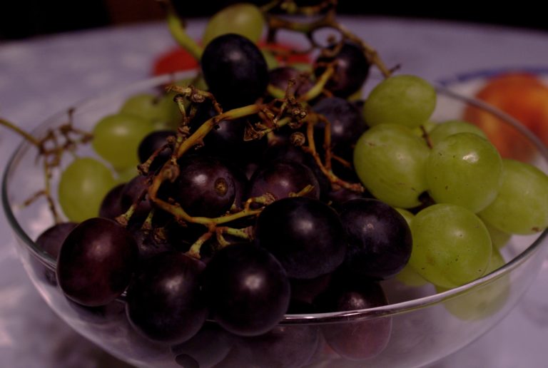 Grape Expectations The Open Dosa grape-expectations-the-open-dosa